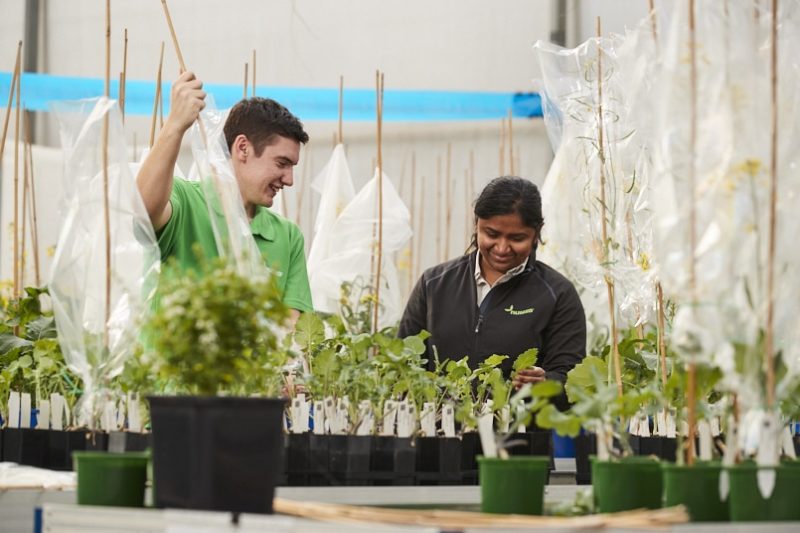 About | Nuseed Australia