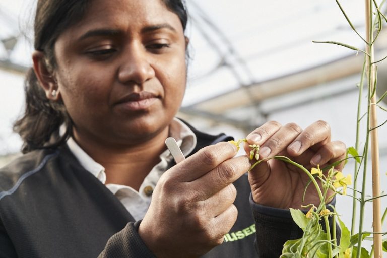 Careers | Nuseed Australia