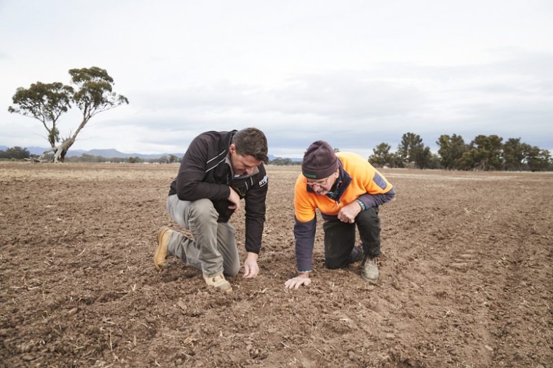 About | Nuseed Australia