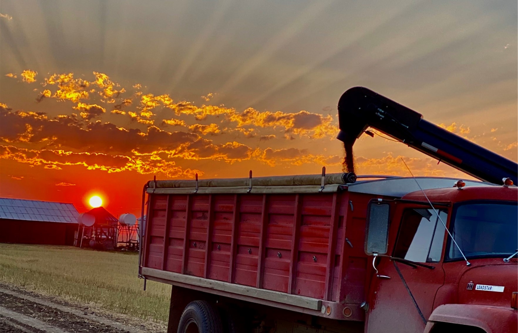 Sobre Nós | Nuseed Brazil