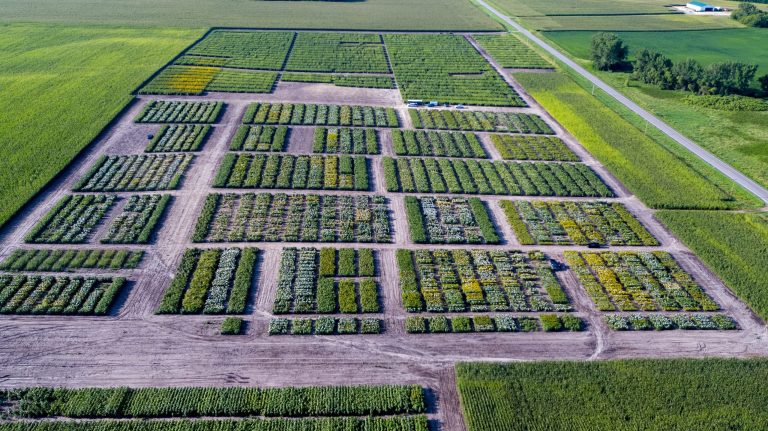 Sobre Nós | Nuseed Brazil