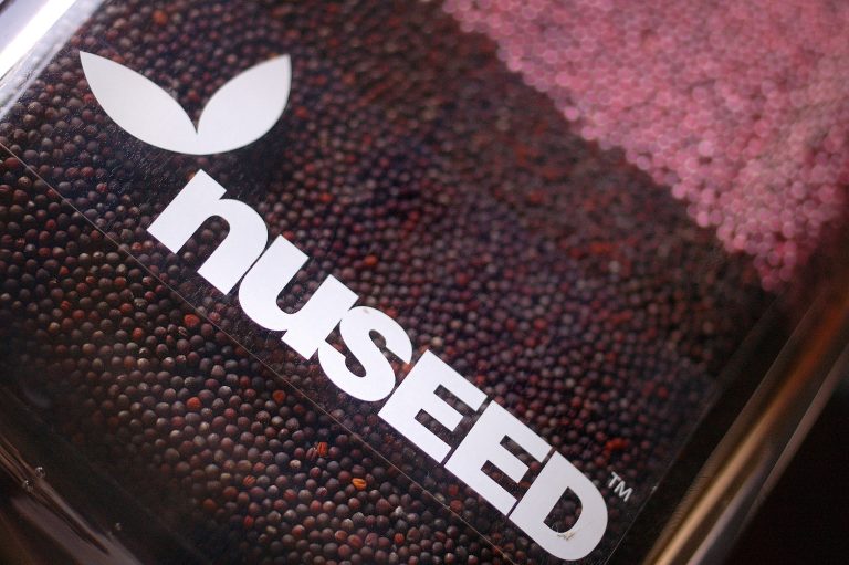 Home | Nuseed Canada