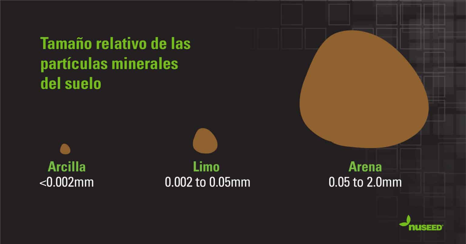 Salud Del Suelo | Nuseed Spain