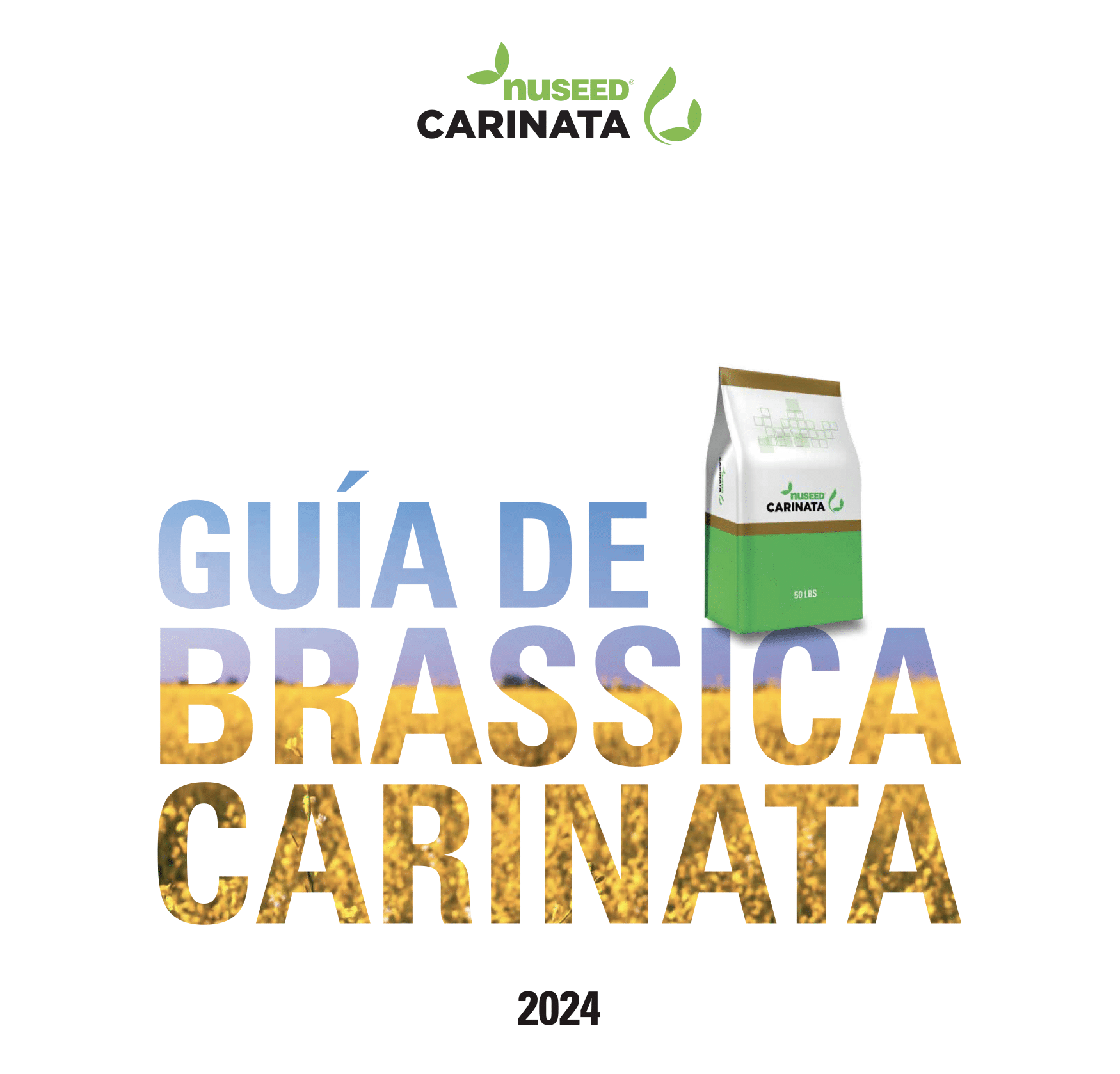 Carinata | Nuseed Spain