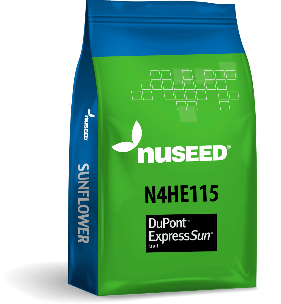 Oil Sunflower Hybrids | Nuseed Europe