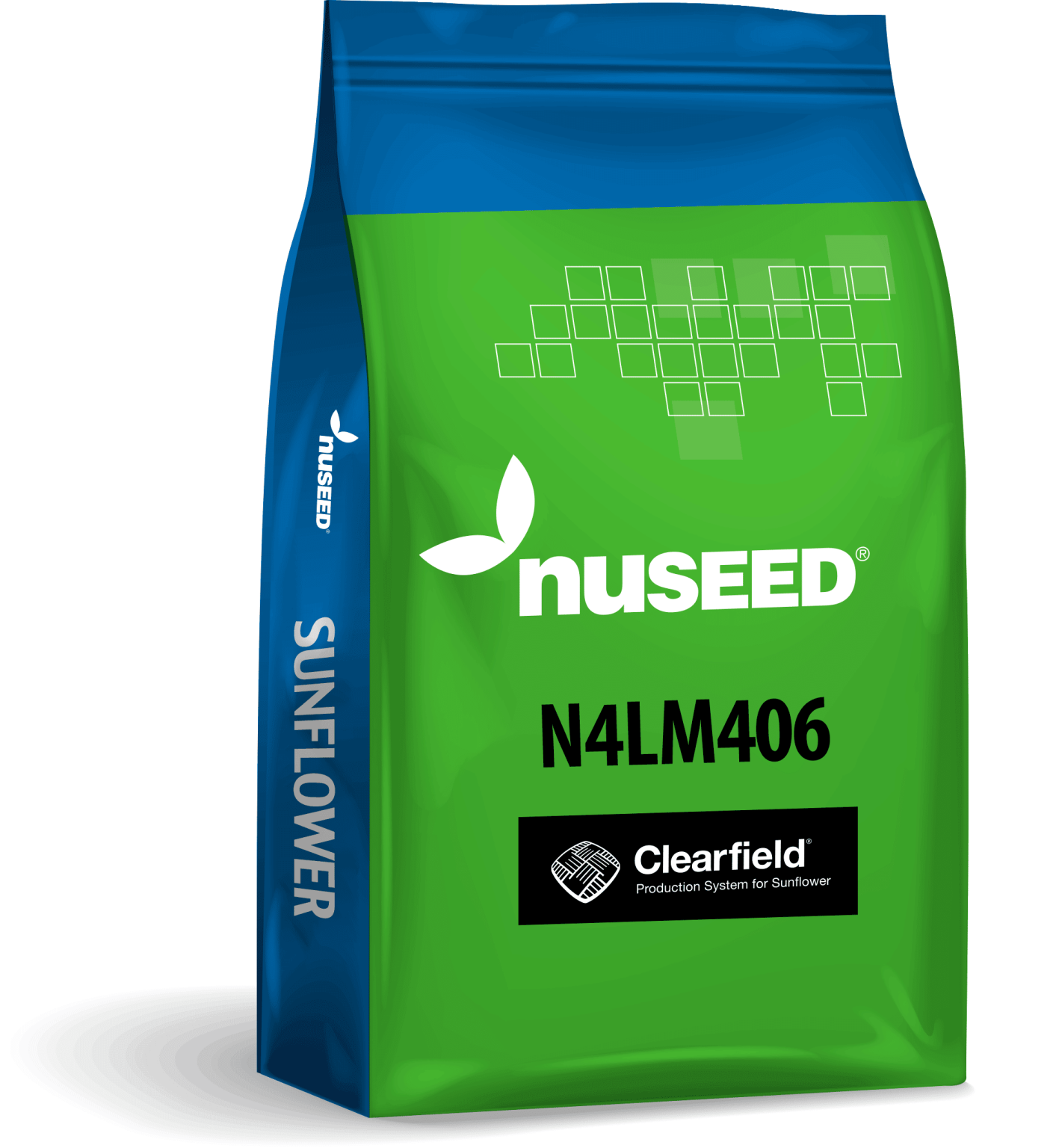 Oil Sunflower Hybrids | Nuseed Europe