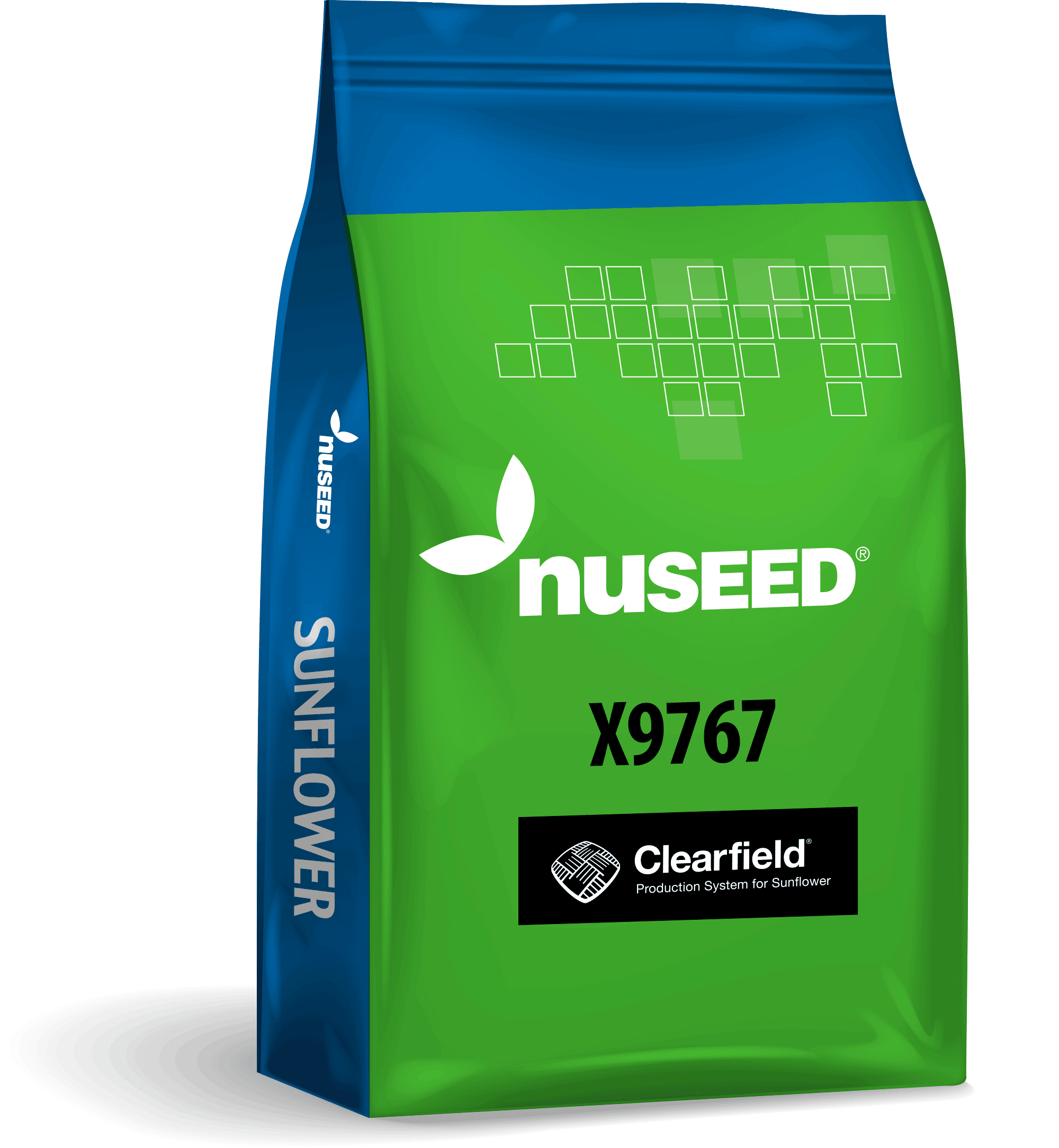 Confection Sunflower Hybrids | Nuseed Europe