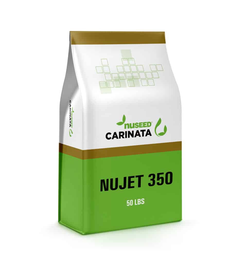 Carinata | Nuseed Europe