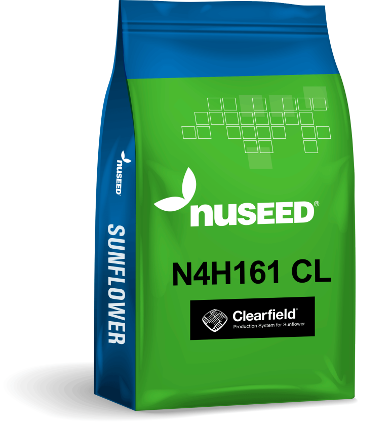 N4H161 CL | Nufarm Seeds NA