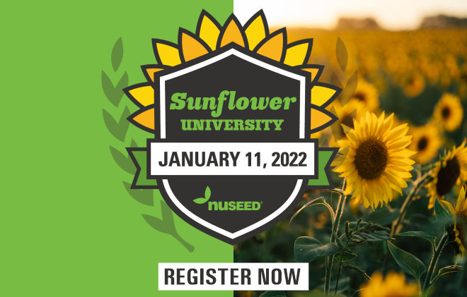 Sunflower University Starts Up In 2022! | Nufarm Seeds NA