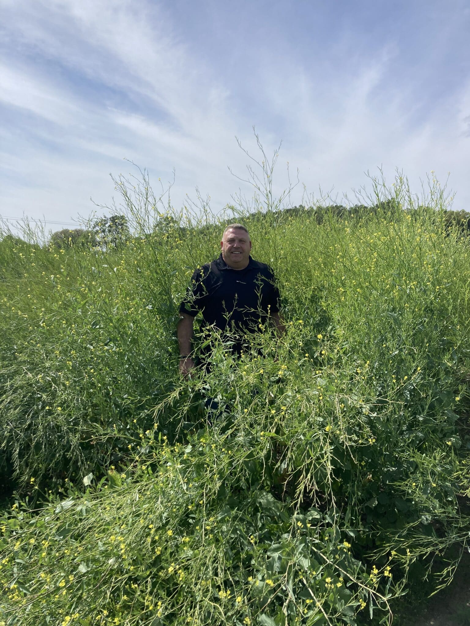 Increasing Cover Crop Acres | Nufarm Seeds NA