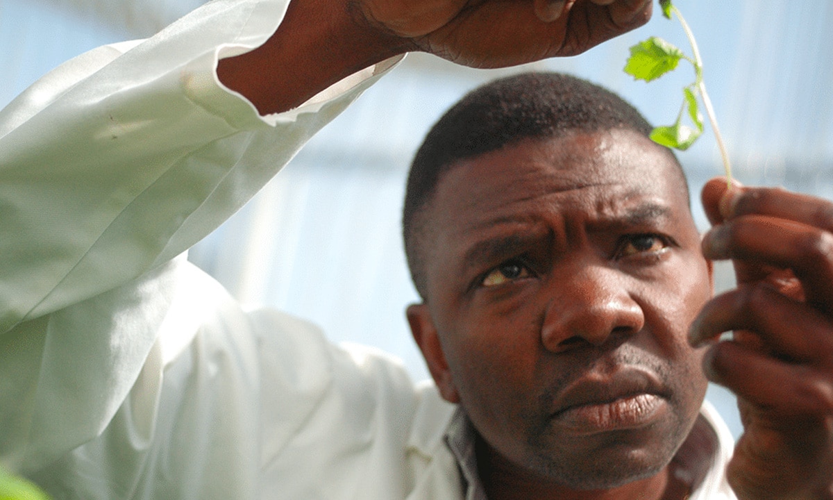 Careers (new) | Nufarm Seeds NA