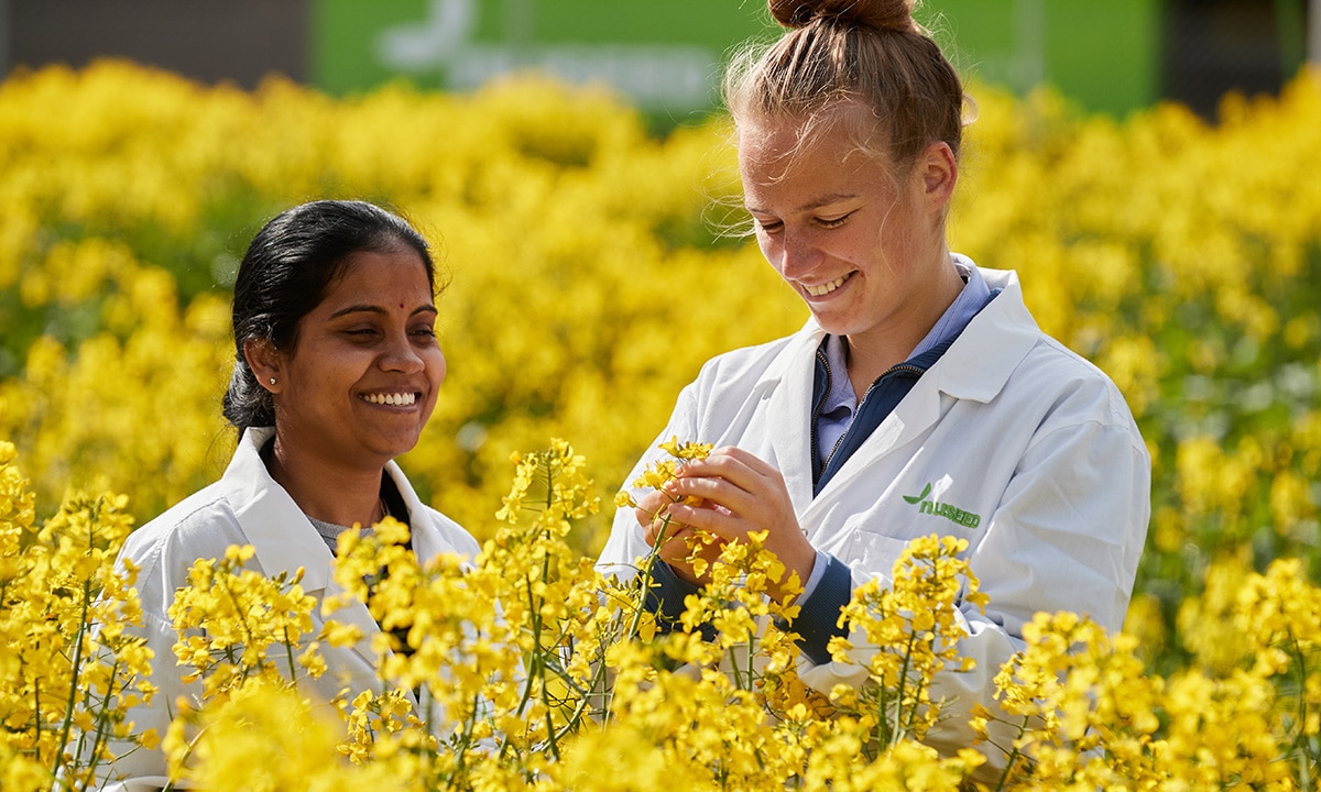 Careers (new) | Nufarm Seeds NA