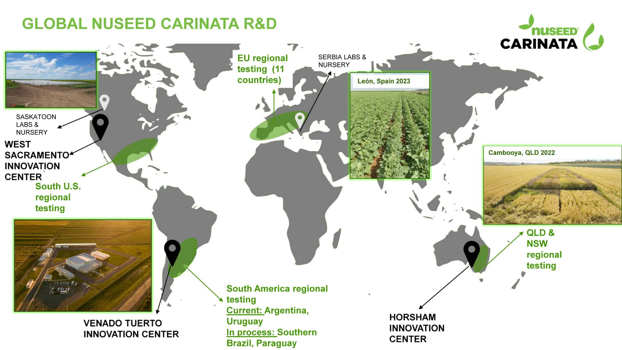 Nuseed Carinata Frost Resilience Put To The Test | Nufarm Seeds NA