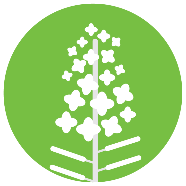 Innovation Feeding The Pipeline To Address Global Challenges | Nufarm ...