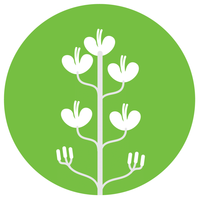 Innovation Feeding The Pipeline To Address Global Challenges | Nufarm ...