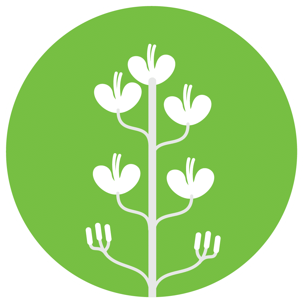 Innovation Feeding The Pipeline To Address Global Challenges | Nufarm ...