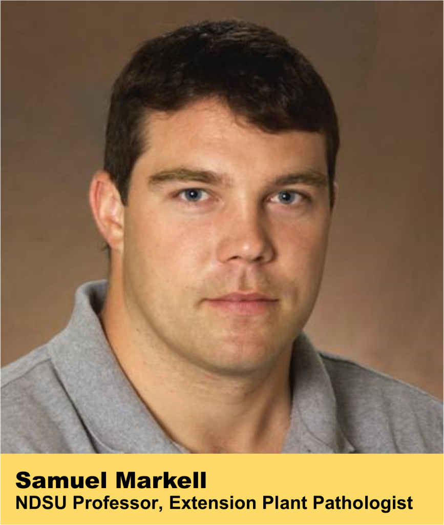 In-Season: Managing Phomopsis Stem Canker - Nuseed U.S.