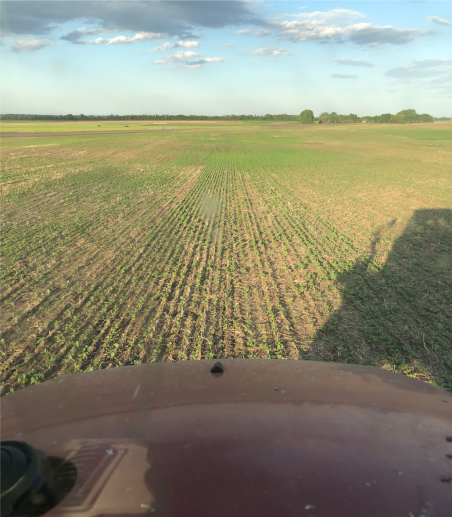 ND Omega-3 Canola Update - Nuseed U.S.