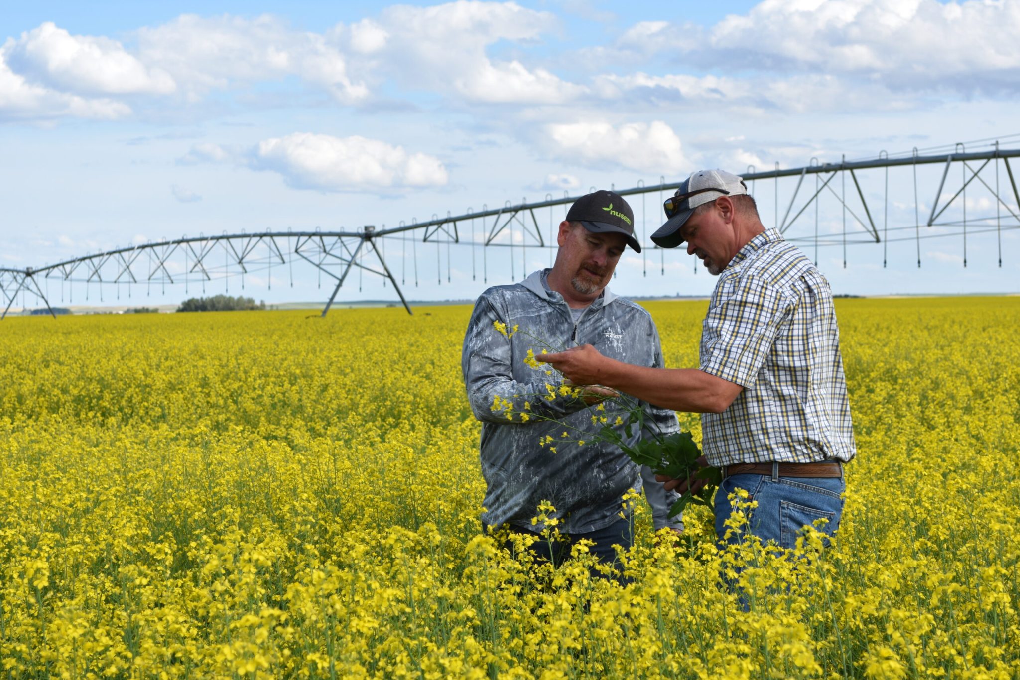 5 Critical Steps In Ag Revolution