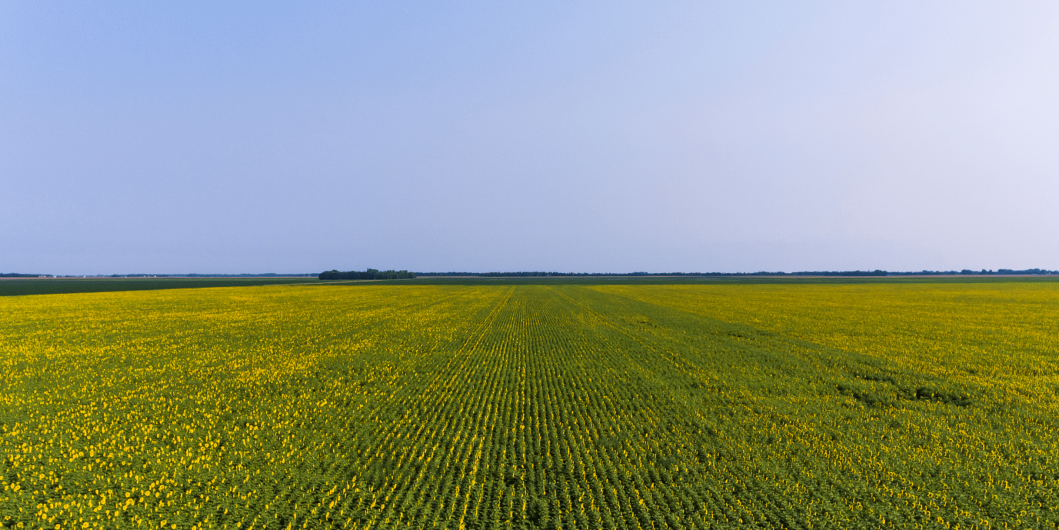 Nuseed Stands Together with Ukraine | Nuseed Global