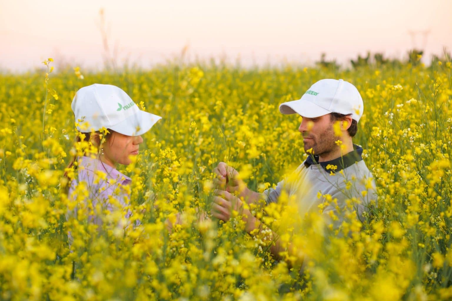Omega-3 Canola aligns with Sustainable Development Goals - Nuseed