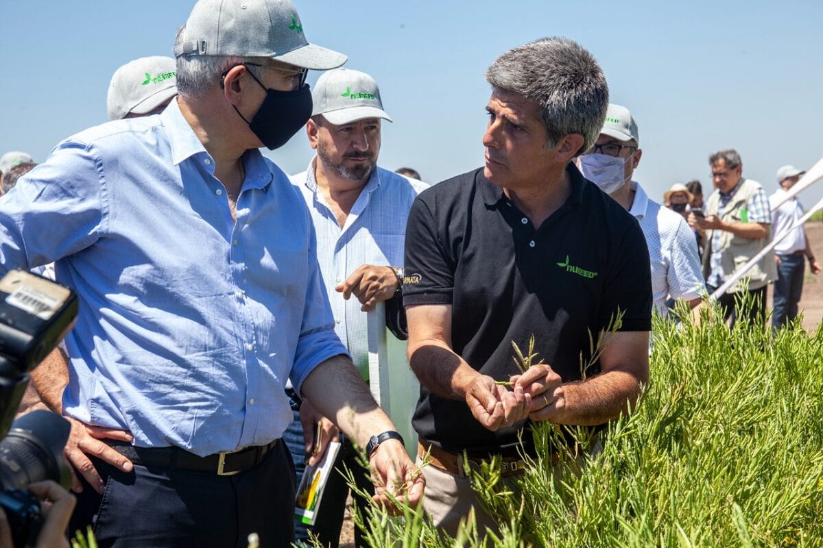 Careers | Nuseed Global