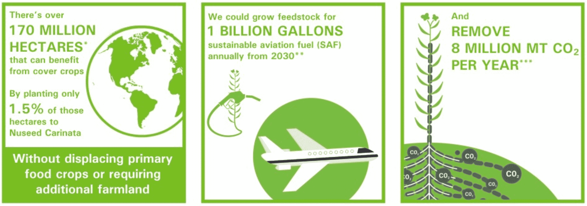 Sustainable Production | Nuseed Global