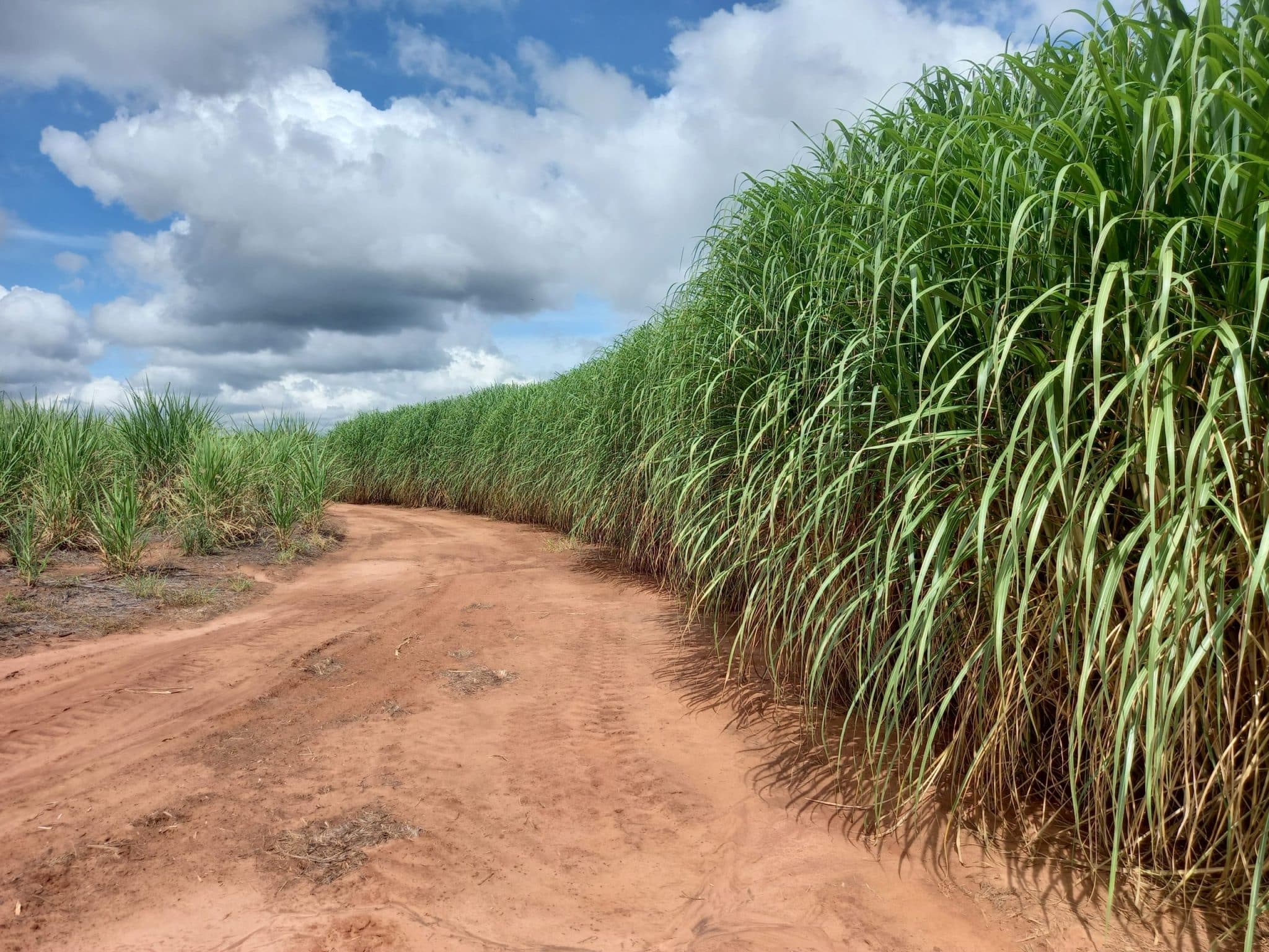 Nuseed expands its bioenergy platform; acquires assets and signs long ...